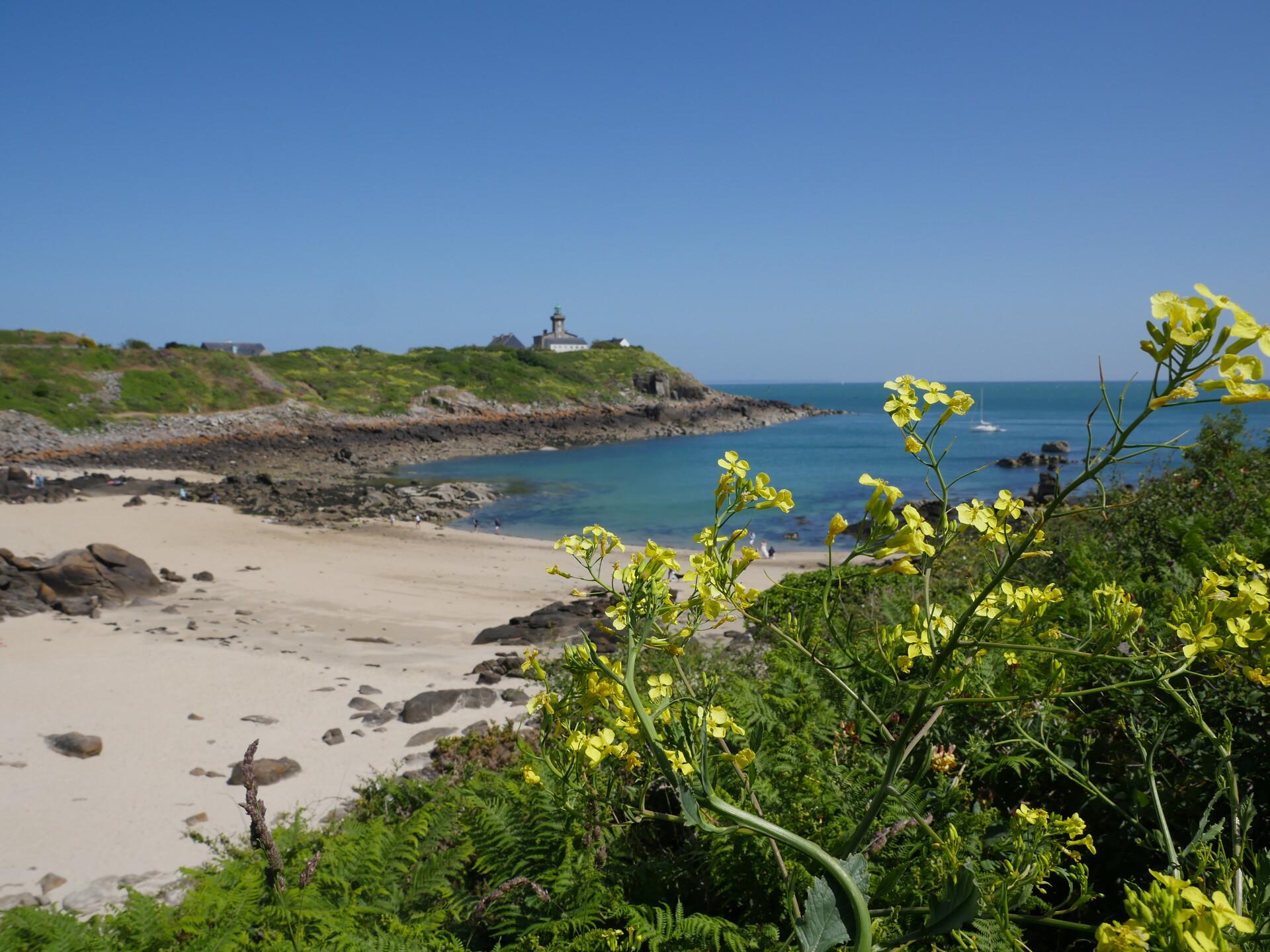 The Chausey archipelago | Destination Granville Land and Sea