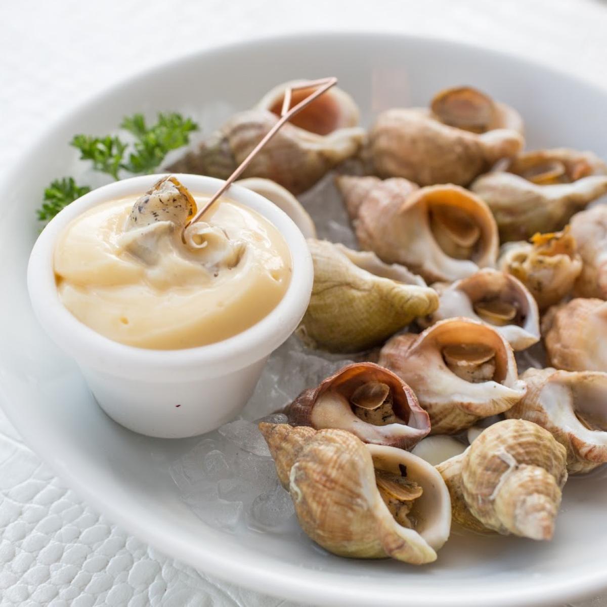 The whelk | Destination Granville Land and Sea