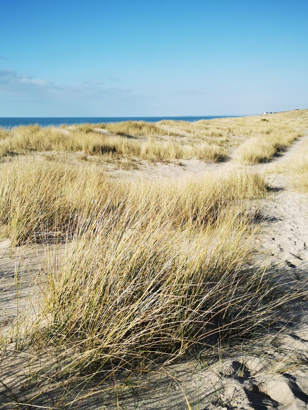 La mare de Bouillon | Destination Granville Terre et Mer