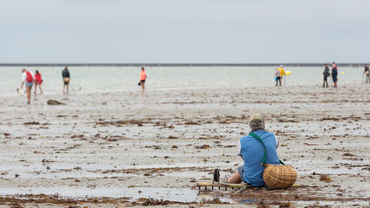 Le couteau | Destination Granville Terre et Mer