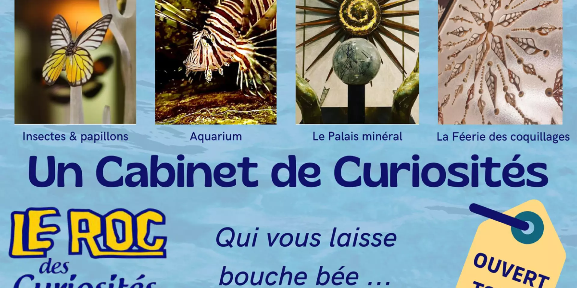 Visite en groupe du Roc des curiosités | Destination Granville Terre et Mer