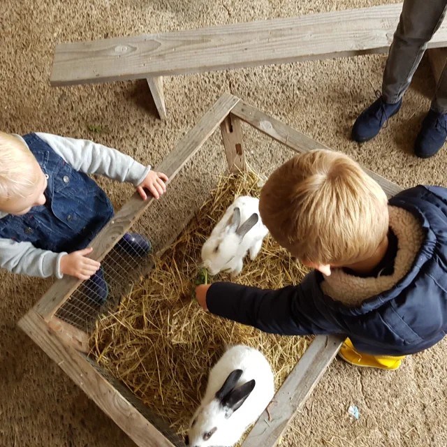 Festival Ferme en Folie | Destination Granville Terre et Mer